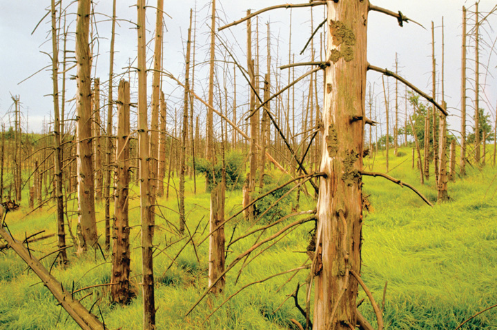 The Chemistry Of Acid Rain